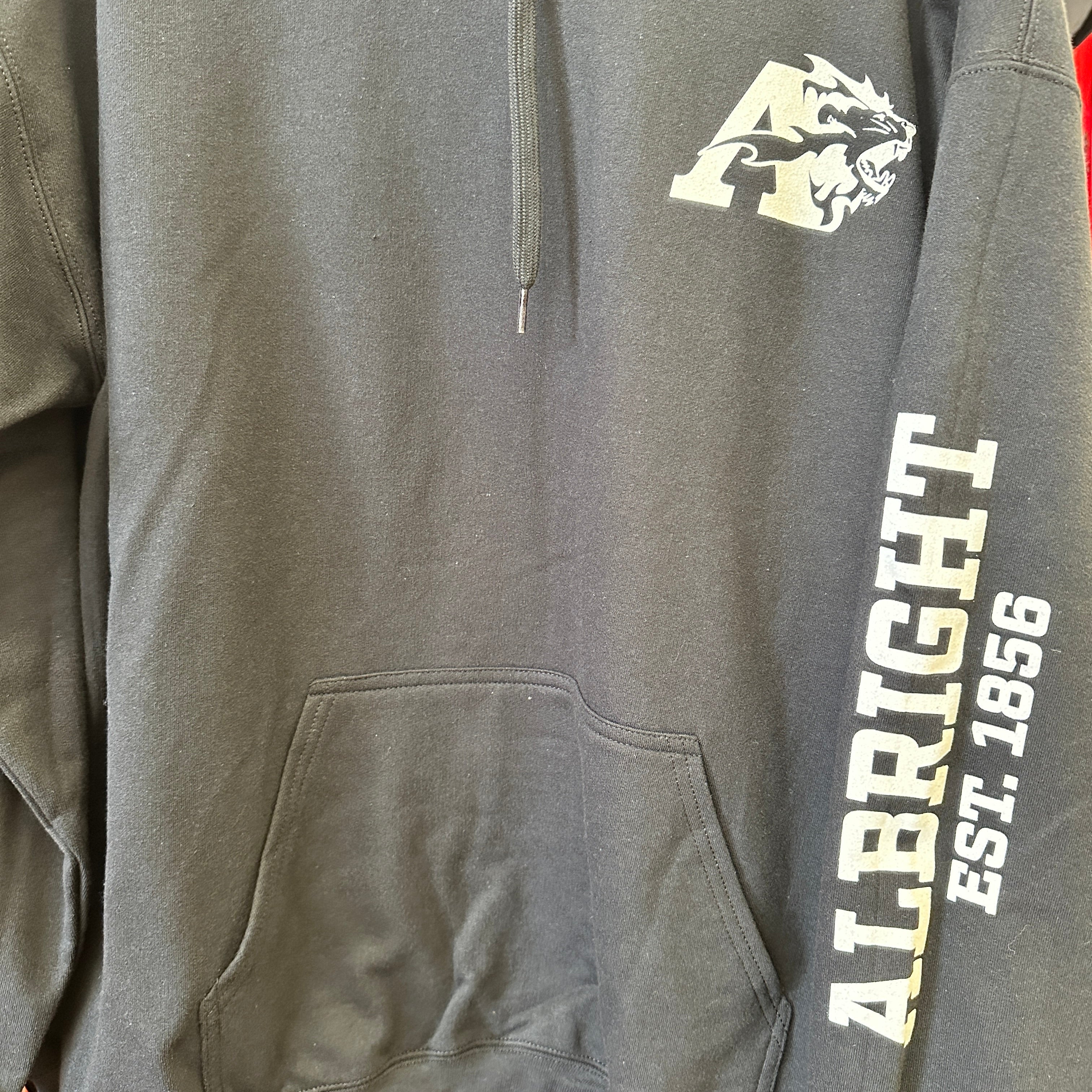 Albright Lion Left Chest Left Sleeve Hoodie | Albright College